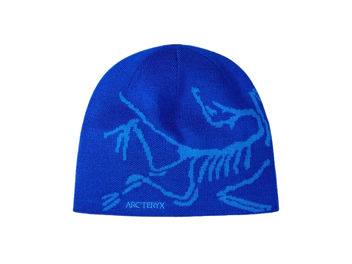 Buy Arc'teryx Bird Head Toque Vitality Fluidity Blue | SASOM