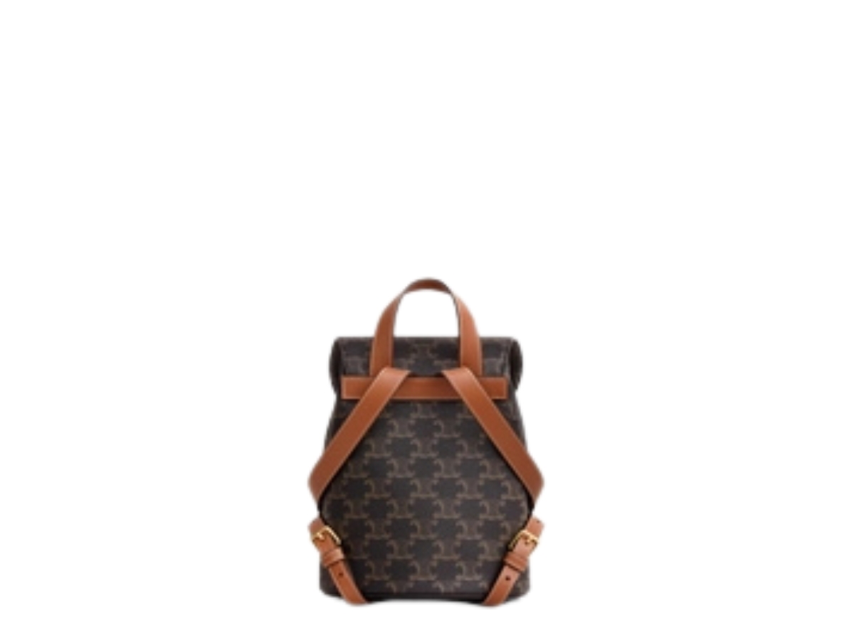 Celine Backpack Celine Bonnie In Triomphe Canvas And Calfskin Leather ...