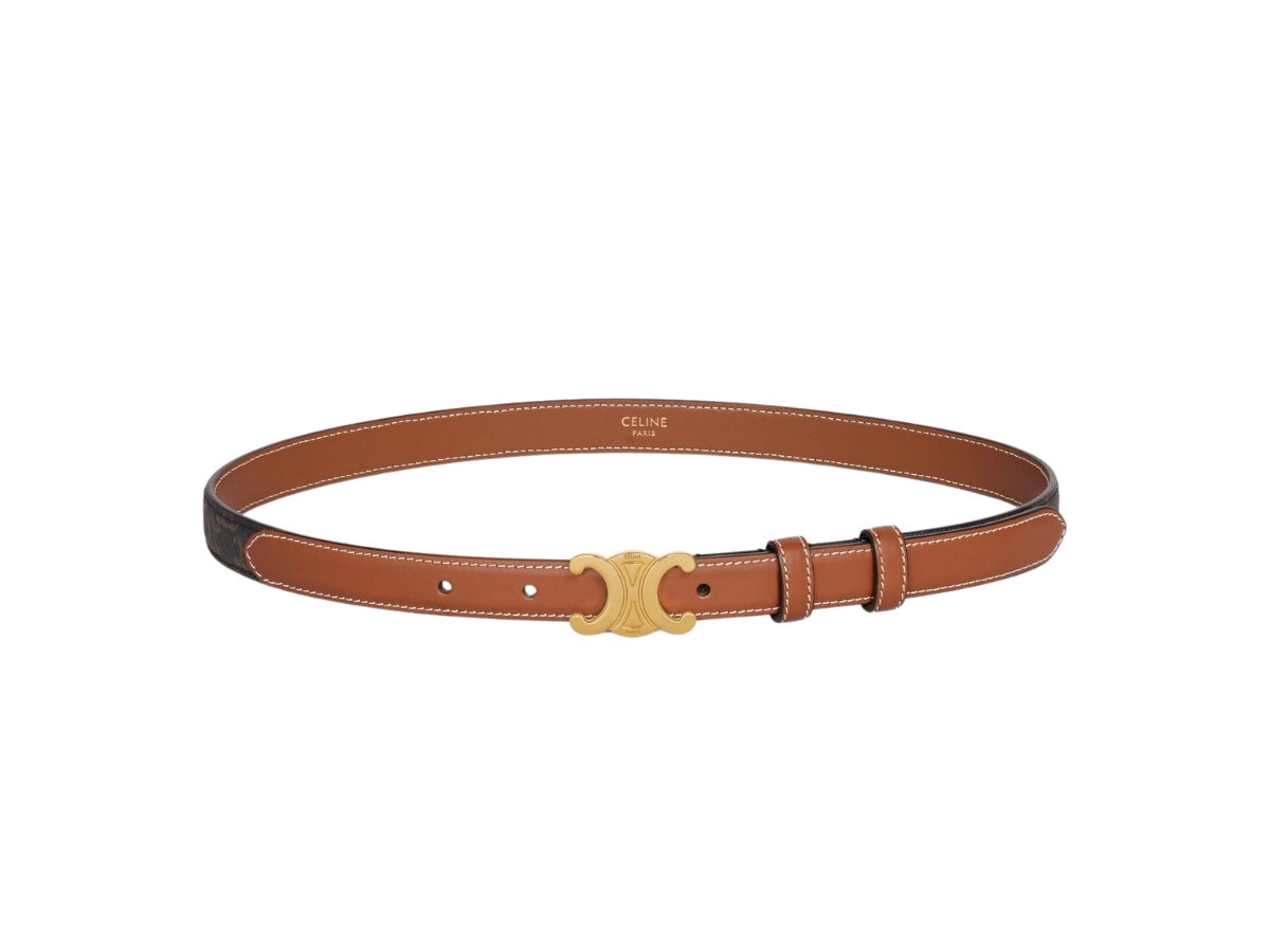 Celine Small Triomphe Belt In Triomphe Canvas And Calfskin With Gold ...