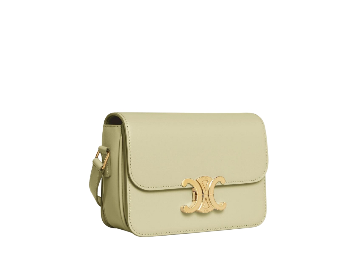 SASOM | bags Celine Teen Triomphe Bag In Shiny Calfskin With Gold ...