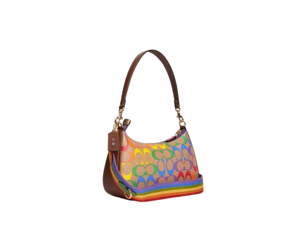 Coach Teri Shoulder Bag In Rainbow Signature Canvas With Gold Hardware
