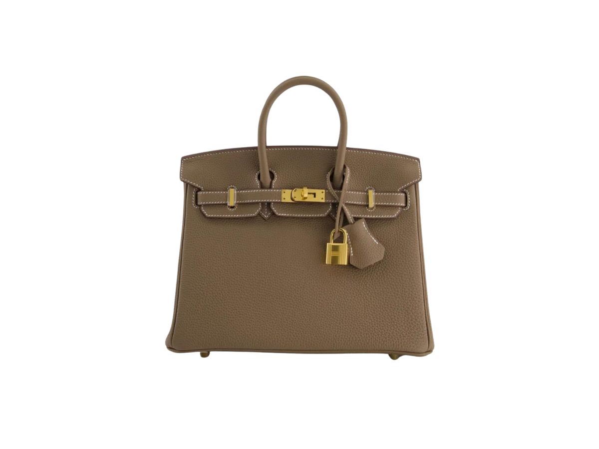 Hermes Birkin 25 Bag In Epsom Togo Leather With Gold-Plated Hardware Etoupe