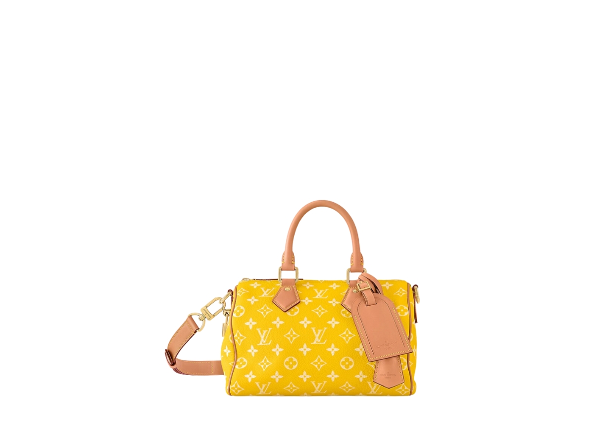 Louis Vuitton Speedy 25 Handbag P9 Shop Authentic at SASOM