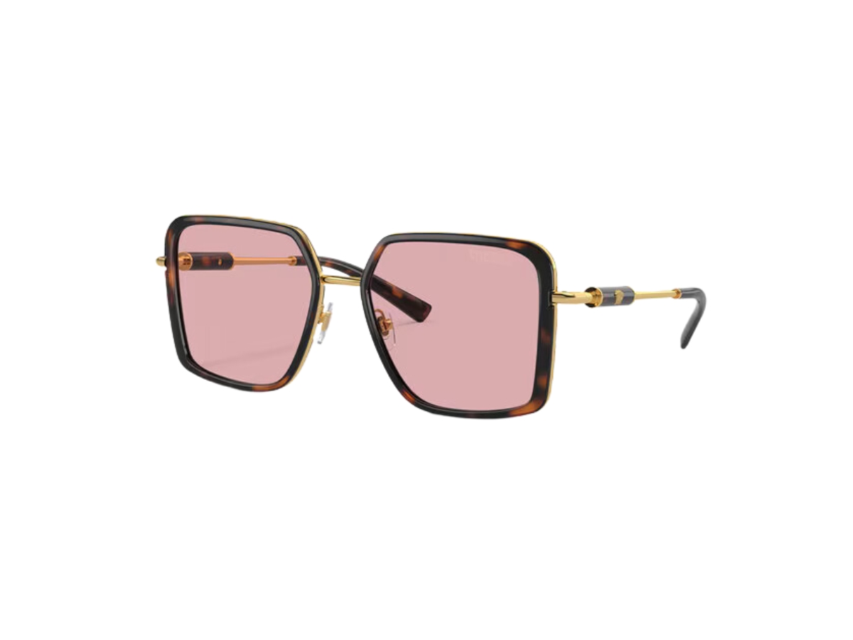 Versace Medusa Roller Squared Sunglasses In Havana Metal Acetate Frame ...